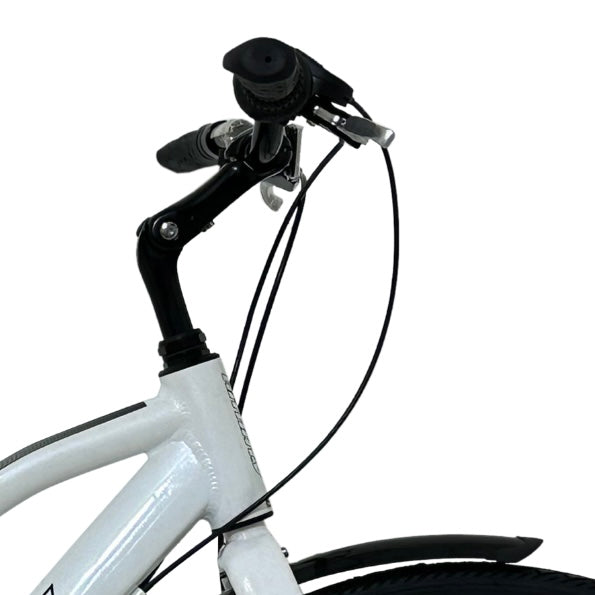 2025 Infinity LADIES Step Thru BOSS.three 7-Speed Dual Disc 700c Comfo ...